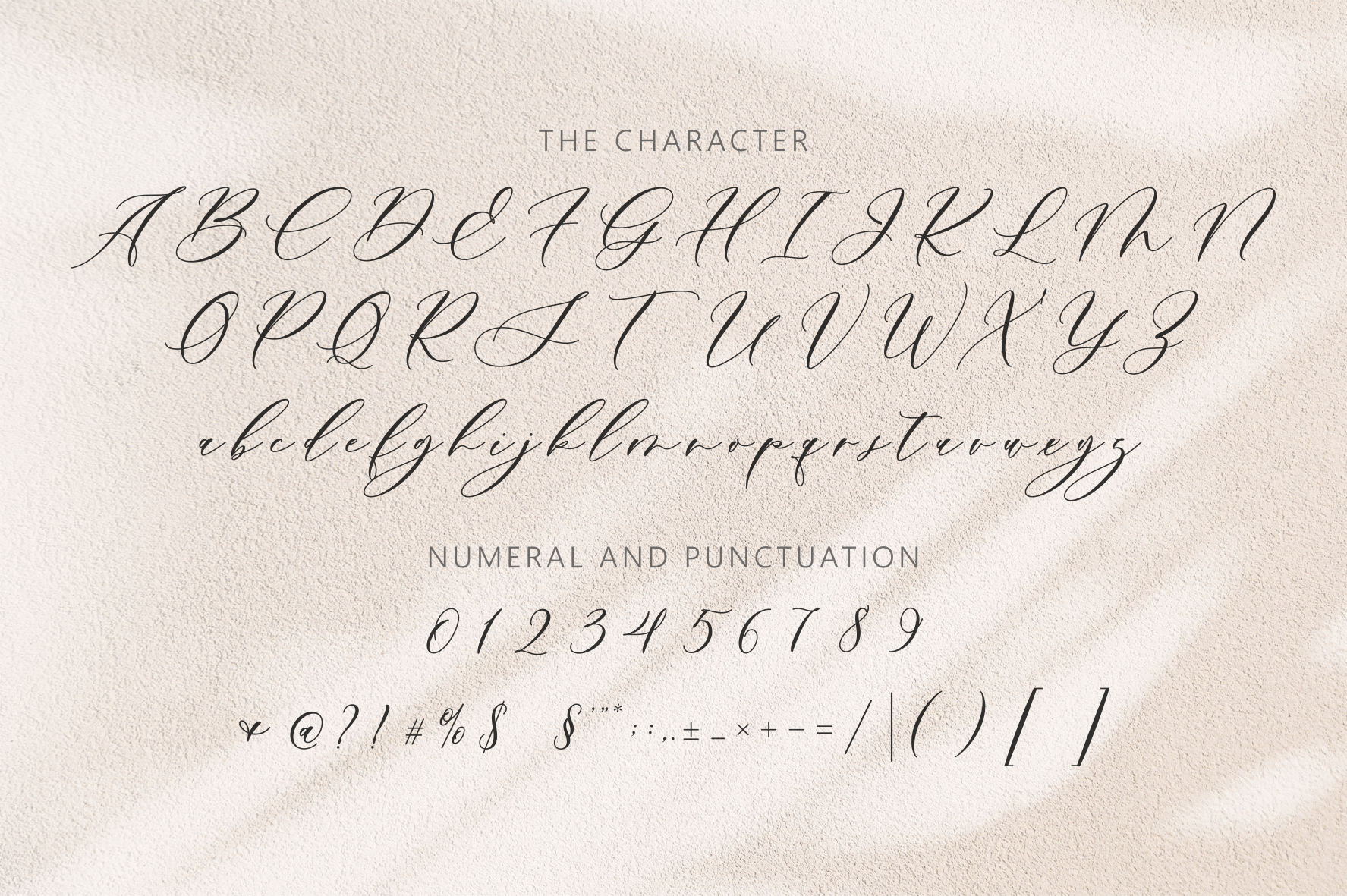 Bertholina, Fonts | GraphicRiver